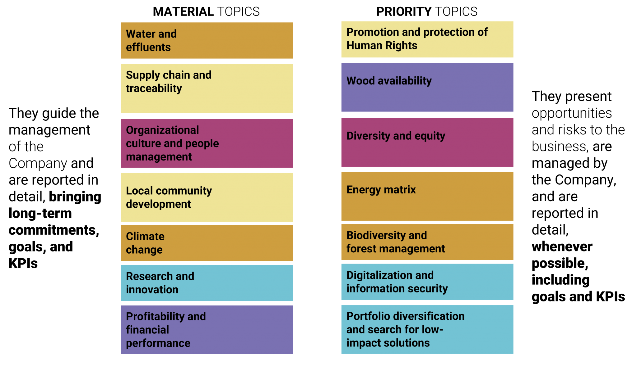 Governance Structure - Dexco