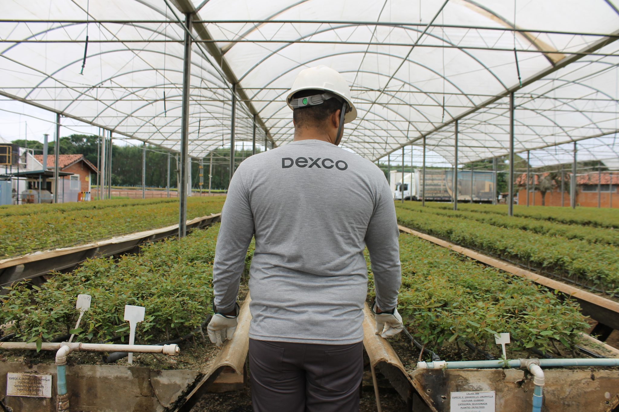 Dexco fará seleção aberta para vagas de emprego na unidade florestal de ...